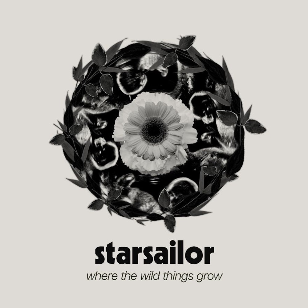 Starsailor Where The Wild Things Grow Vinyl LP 2024 — Assai Records