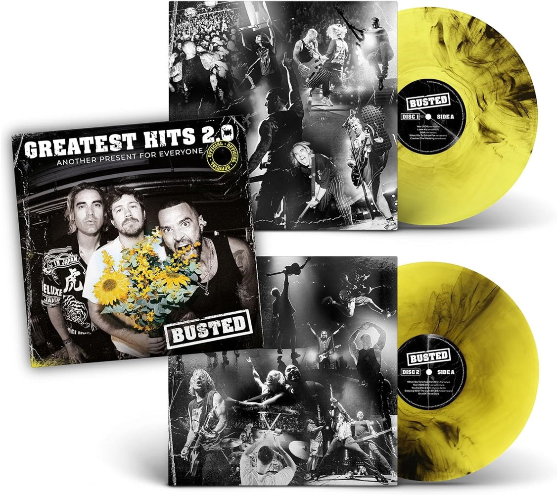 Busted Greatest Hits 2.0 (Another Present For Everyone) Vinyl LP Yello ...
