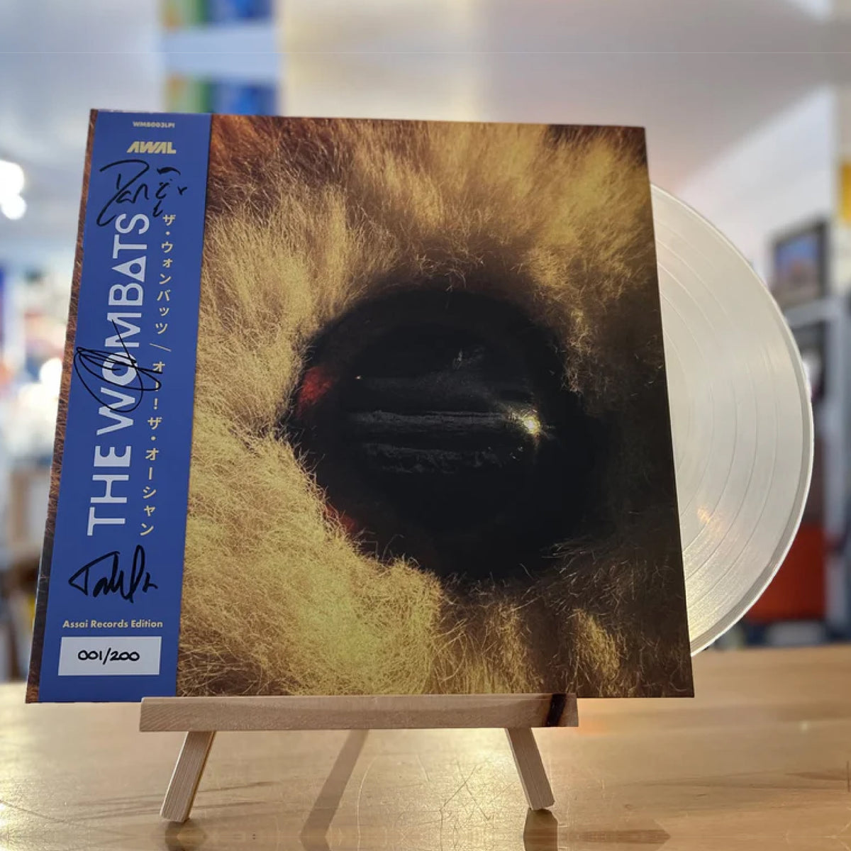 The Wombats Oh! The Ocean Vinyl LP Signed Assai Obi Edition Cloudy Cle ...