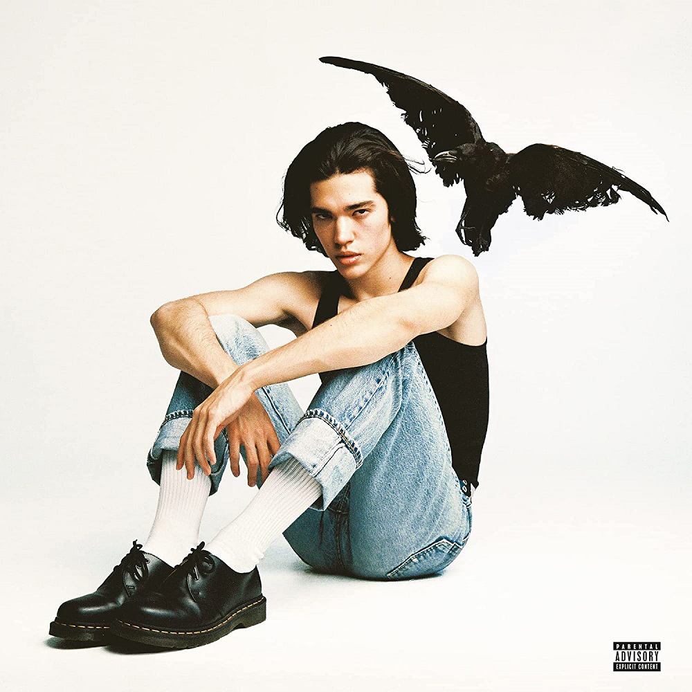 Conan Gray Kid Krow Vinyl LP 2020 — Assai Records