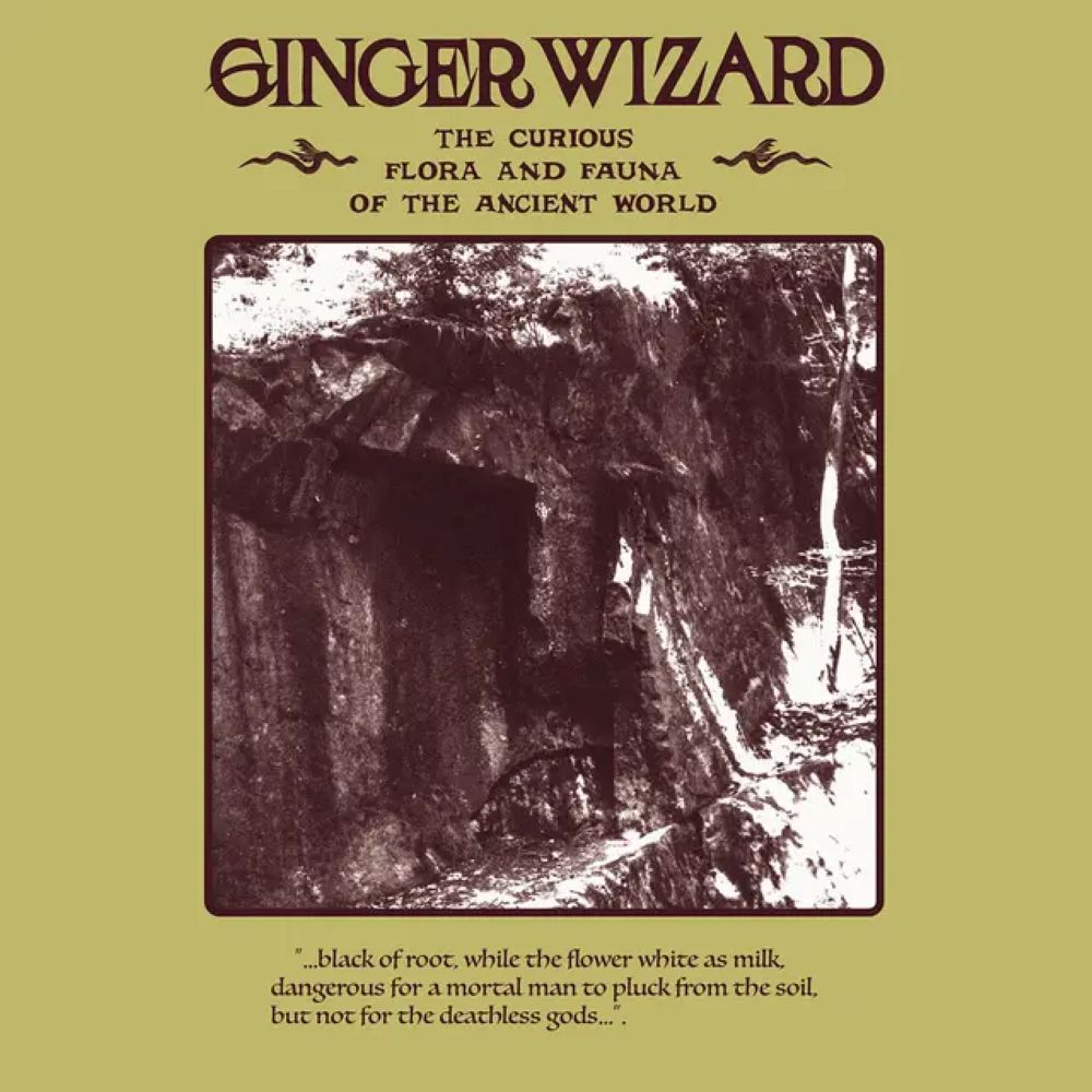 Ginger Wizard The Curious Flora and Fauna of the Ancient World Vinyl L ...